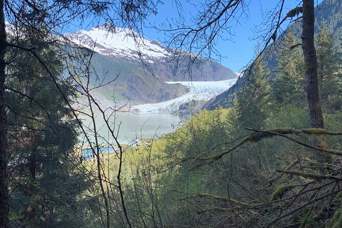 Rainforest & Waterfalls Trek - An In-Depth Look at the Rainforest & Waterfalls Trek