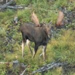 Rangeley Lakes Region Seaplane Tour - Who This Tour Is Perfect For