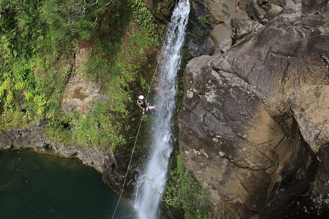 Rappel Maui Waterfalls and Rainforest Cliffs - An In-Depth Look at the Maui Waterfalls and Rainforest Cliffs Rappelling Tour