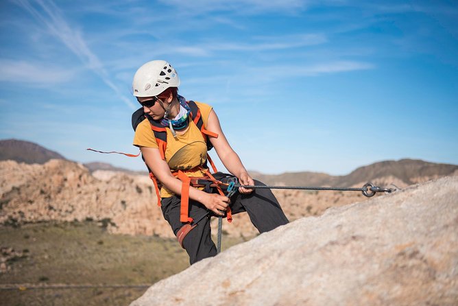 Rappelling Adventure in Joshua Tree National Park (4 Hours) - An In-Depth Look at the Experience