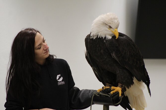 Raptor Encounters and Immersive Dome Experience - What to Expect from the Experience