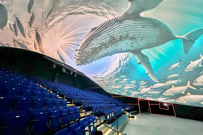 Raptor Encounters and Immersive Dome Experience - The Itinerary in Detail