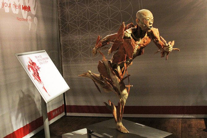 Real Bodies at Horseshoe Las Vegas - What to Expect at Real Bodies in Las Vegas