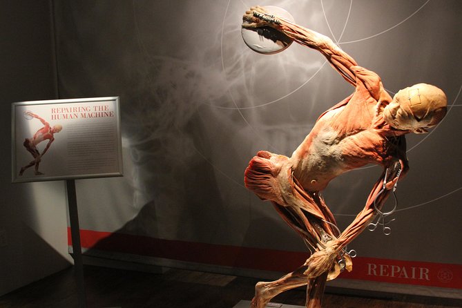 Real Bodies at Horseshoe Las Vegas - Authentic Feedback from Visitors