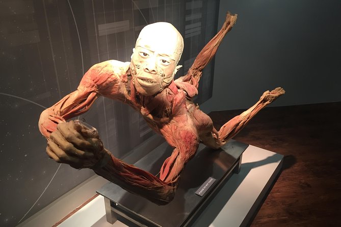 Real Bodies at Horseshoe Las Vegas - Final Thoughts