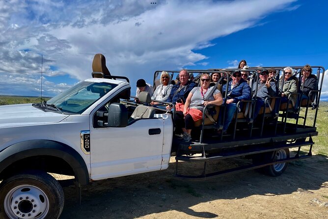 Red Canyon Wild Mustang Safari Truck Tours In Cody Wyoming! - An In-Depth Look at the Red Canyon Mustang Safari
