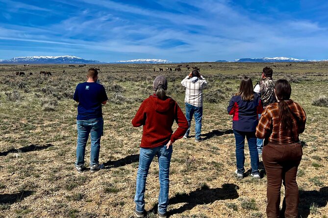 Red Canyon Wild Mustang Safari Truck Tours In Cody Wyoming! - The Sum Up