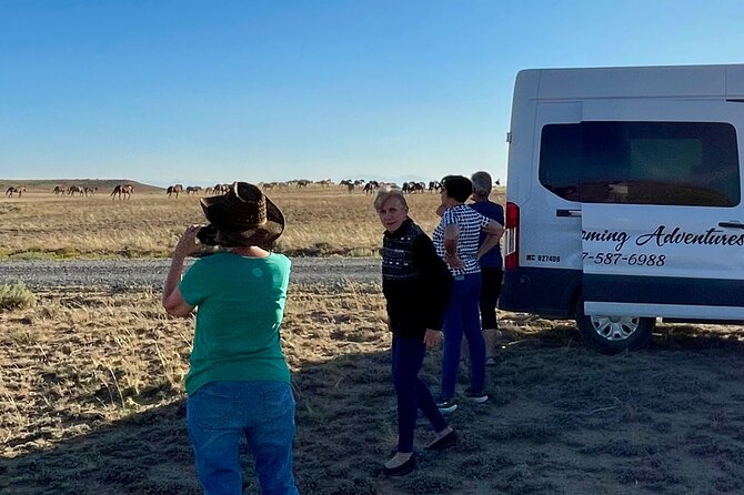 Red Canyon Wild Mustang Tours And Safaris In Cody Wyoming - The Sum Up