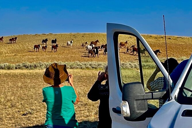 Red Canyon Wild Mustang Tours And Safaris In Cody Wyoming - FAQ