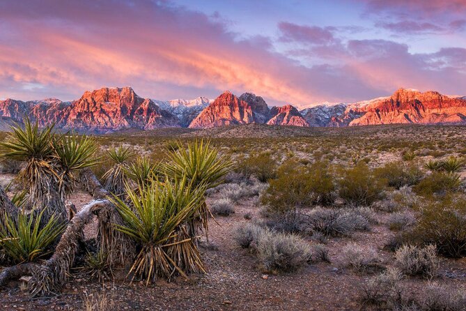 Red Rock Canyon Helicopter Air-Only Tour in Las Vegas - Introduction