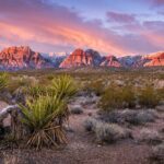 Red Rock Canyon Scooter Tour from Las Vegas - What’s Included and How It Works
