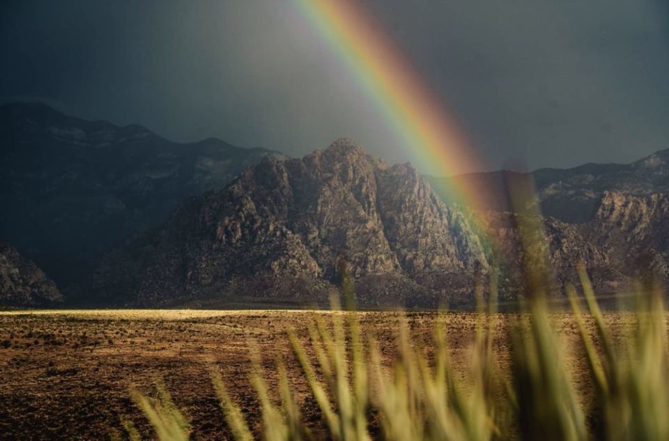 Red Rock Canyon Sign& Seven Magic Mountains Tour - A Closer Look at the Tour Experience