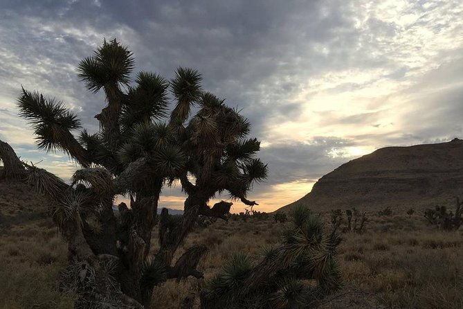 Red Rock Canyon Sunset Horseback Ride and Barbeque Dinner - The Campfire and Barbecue