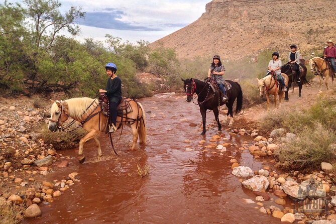 Red Rock Canyon Sunset Horseback Ride and Barbeque Dinner - The Sum Up