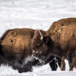 Red Rocks & Beyond - Private Tour - Authentic Experiences from Past Travelers