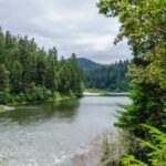 Redwood National and State Parks Self-Guided Audio Driving Tour - Breaking Down the Itinerary: What You’ll See and Experience