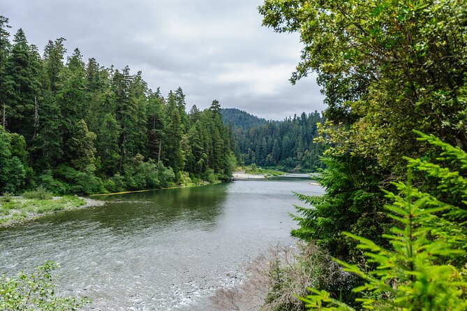Redwood National and State Parks Self-Guided Audio Driving Tour - Breaking Down the Itinerary: What You’ll See and Experience