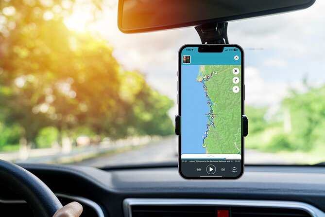 Redwood National Park Self-Guided Audio Tour - Real Experiences and Insights