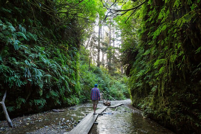 Redwood National Park Self-Guided Audio Tour - Practical Tips for a Smooth Experience