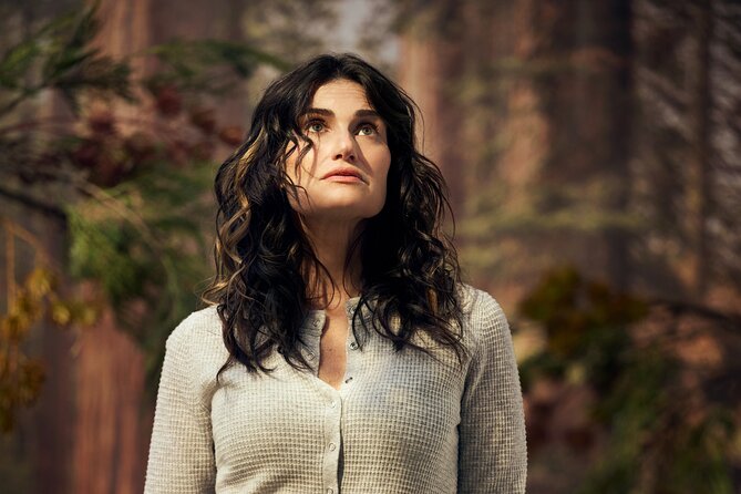 Redwood Starring Idina Menzel on Broadway Ticket - Key Points