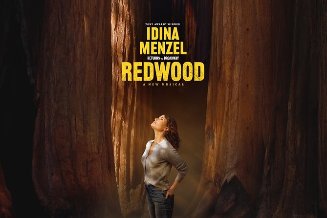 Redwood Starring Idina Menzel on Broadway Ticket - A Detailed Look at the Experience
