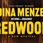 Redwood Starring Idina Menzel on Broadway Ticket - Final Thoughts: Is It Worth It?