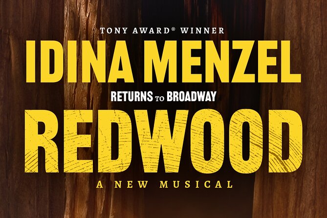 Redwood Starring Idina Menzel on Broadway Ticket - Final Thoughts: Is It Worth It?