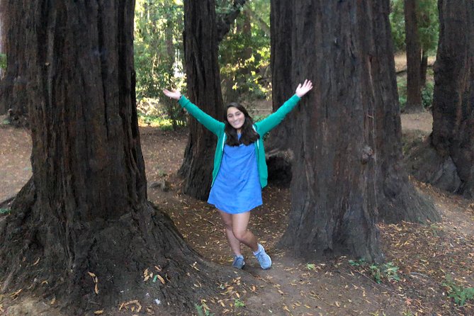 Redwoods of Marin and Mt. Tamalpais Walking Tour with Local Guide - A Closer Look at the Tour Itinerary