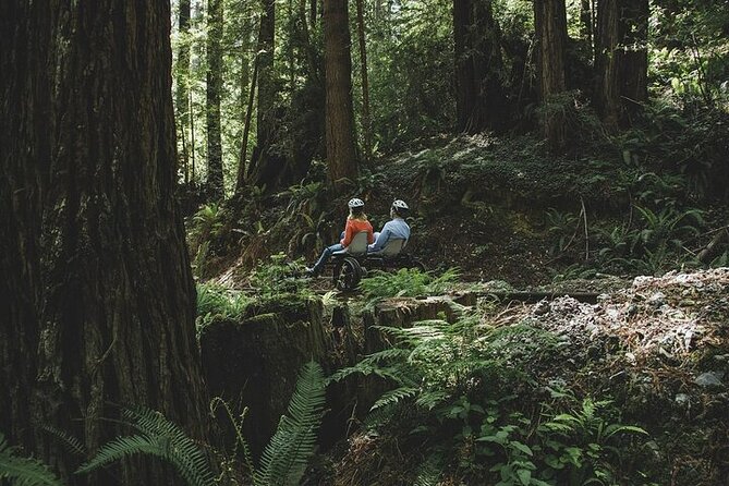 Redwoods Railbike Along Pudding Creek - The Guides and Their Role in Enhancing the Experience