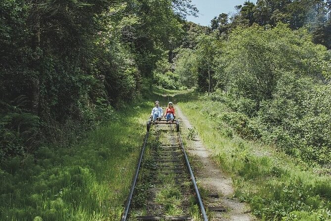 Redwoods Railbike Along Pudding Creek - What Do Reviewers Say?