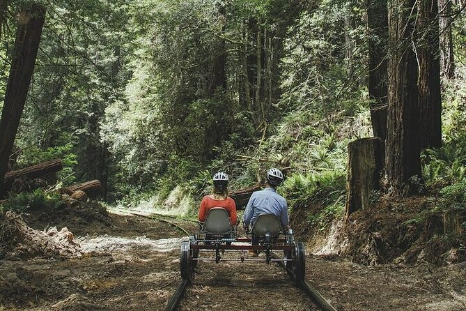 Redwoods Railbike Along Pudding Creek - The Sum Up: Who Will Love This Tour?