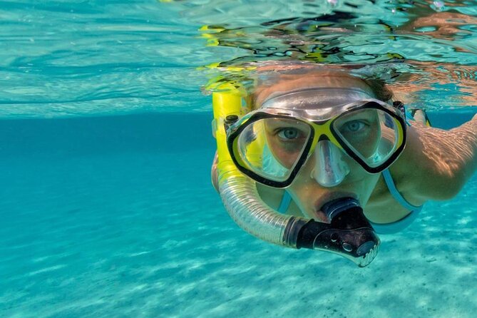 Reef Snorkel & Ocean Paddle Adventure in Fort Lauderdale Beach - The Sum Up