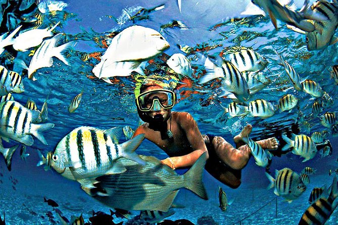 Reef Snorkel & Ocean Paddle Adventure in Fort Lauderdale Beach - FAQs