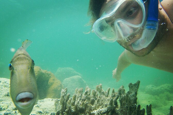 Reef Snorkel + Sandbar & Sunset Sail-Small Groups with Honest Eco - Discovering the Experience: A Detailed Breakdown