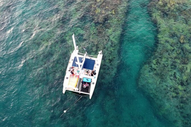 Reef Snorkel + Sandbar & Sunset Sail-Small Groups with Honest Eco - Practical Information