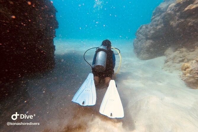 Refresher Scuba Dive - Why the Small Group Format Matters