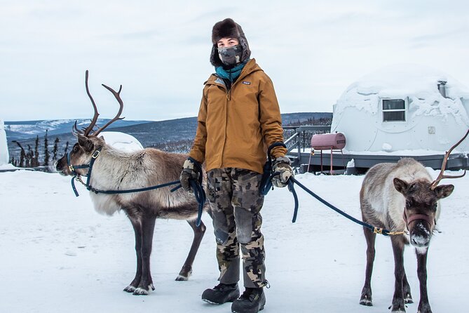 Reindeer and Heli Flightseeing Day Trip with Lunch - FAQ