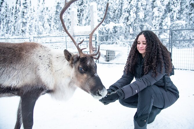 Reindeer and Snowmobile Day Trip to Borealis Basecamp with Lunch - A Deep Dive into the Experience