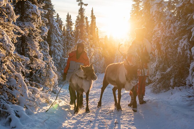 Reindeer and Snowmobile Day Trip to Borealis Basecamp with Lunch - The Value of This Tour