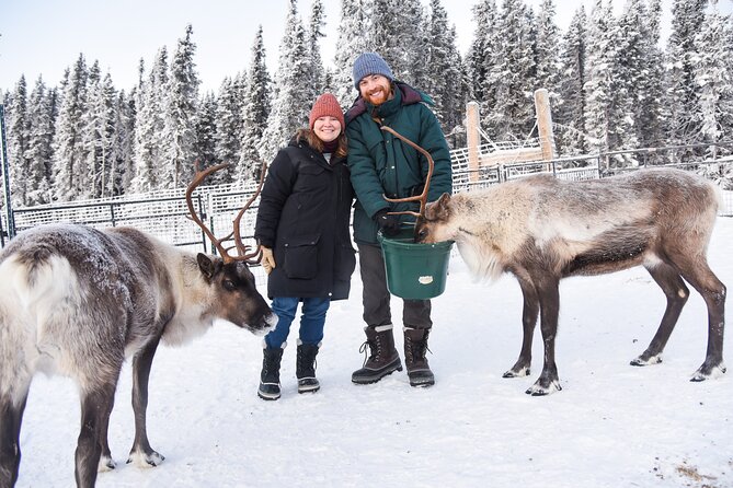 Reindeer and Snowmobile Day Trip to Borealis Basecamp with Lunch - FAQs