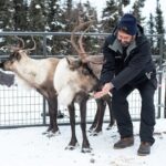 Reindeer Meet and Greet - The Experience Itself