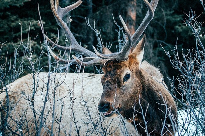 Relive Colorado's Gold Rush Experience - Private Guides - Final Thoughts