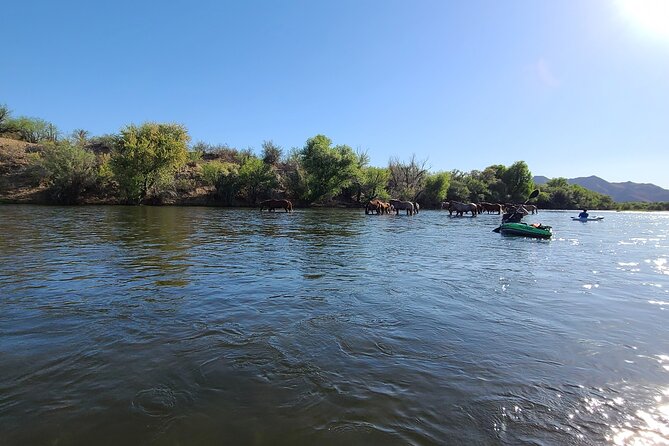 Rent a Paddle Board And Float the Lower Salt River - An Honest Look at the Experience