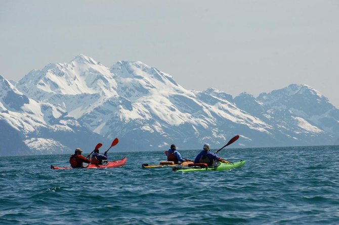 Resurrection Bay Kayaking Adventure - Introduction: What to Expect from Resurrection Bay Kayaking