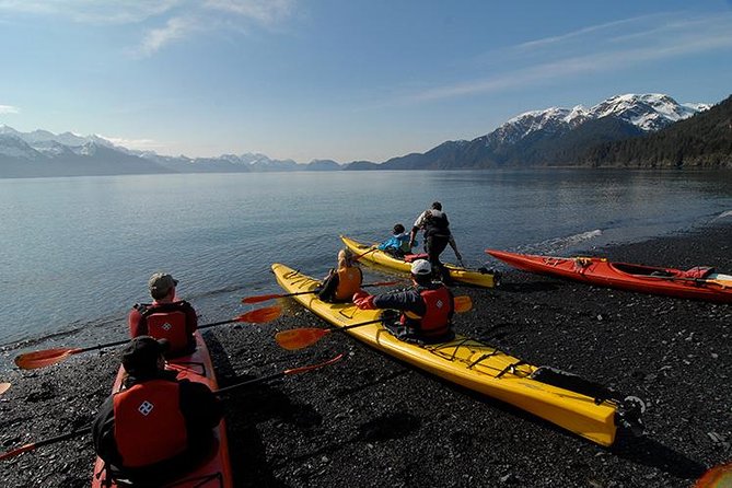 Resurrection Bay Kayaking Adventure - Why We Love This Experience