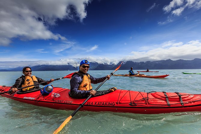 Resurrection Bay Kayaking Adventure - The Itinerary: What Your Day Looks Like