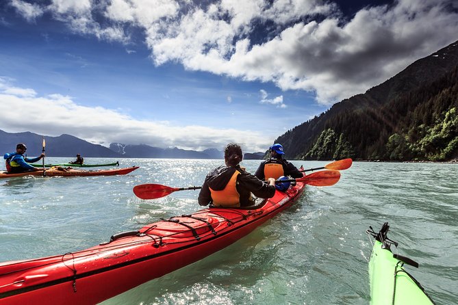 Resurrection Bay Kayaking Adventure - What to Expect from the Guides and Equipment