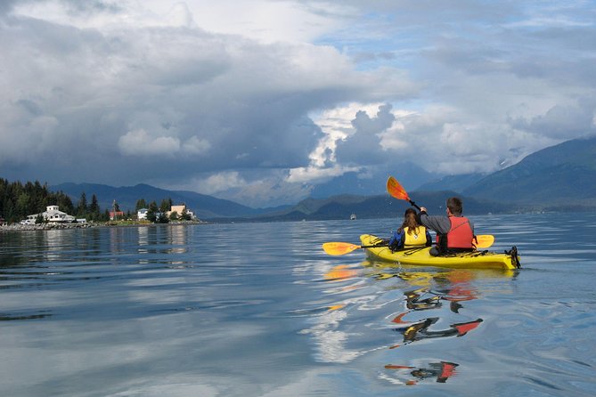 Resurrection Bay Kayaking Adventure - Practical Details: Timing, Group Size, and More