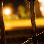 Richmond Ghosts Boos and Booze Haunted Pub Crawl - Itinerary Breakdown: What to Expect