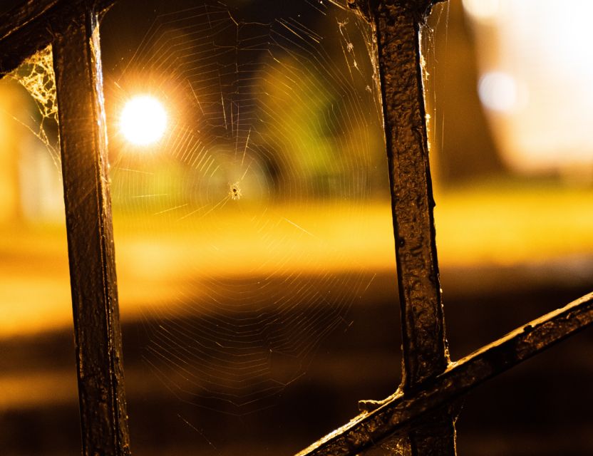 Richmond Ghosts Boos and Booze Haunted Pub Crawl - Itinerary Breakdown: What to Expect